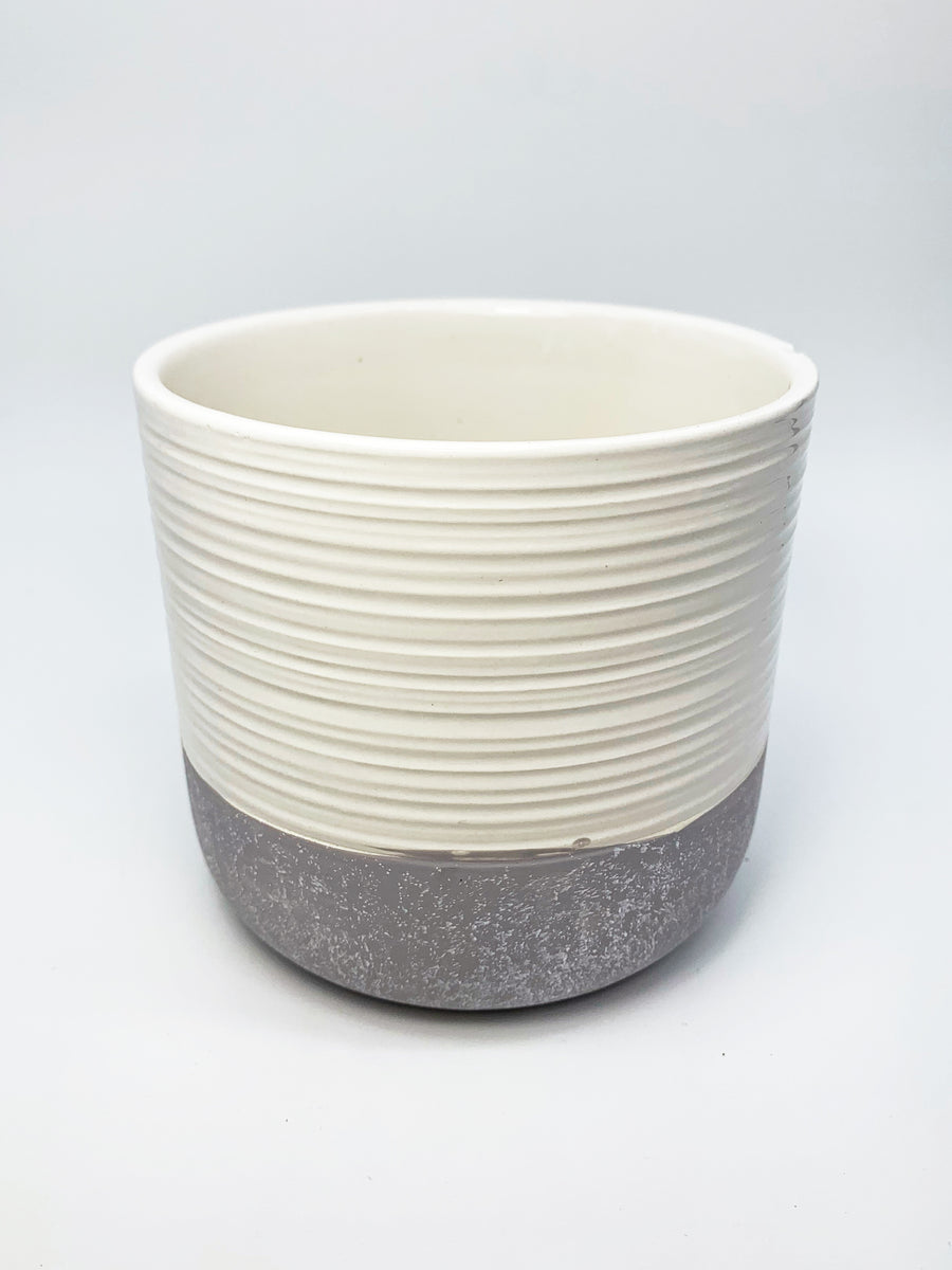 Alieda Two Tone Pot 4" – upwegrow